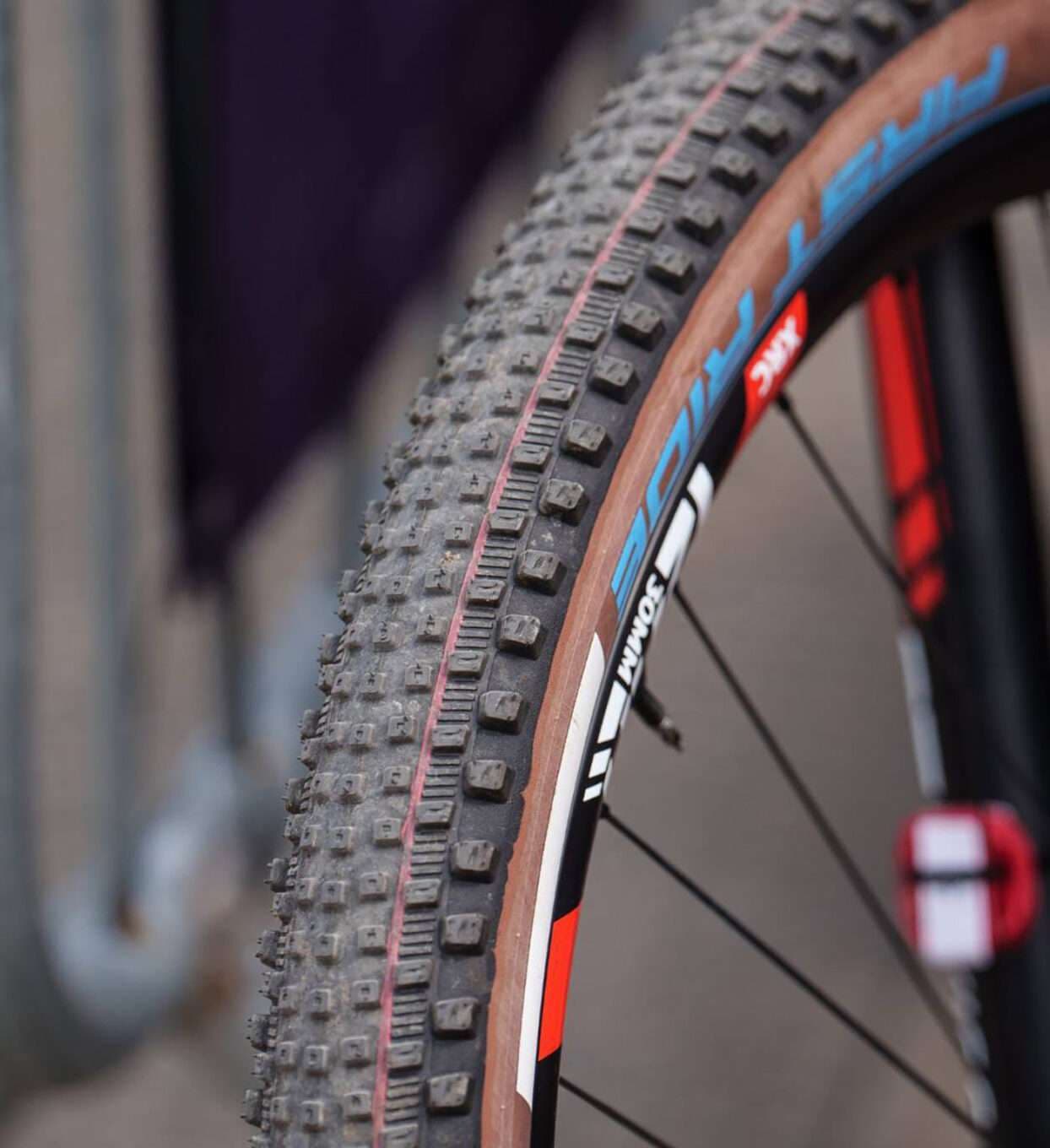 Schwalbe Rick XC è il nuovo pneumatico In-Between Race - Anguria Bike